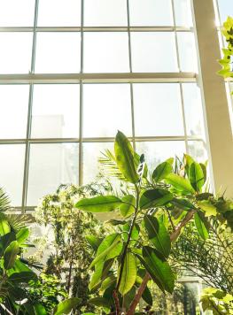 Construction Technology & Productivity | NOVA